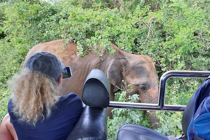 Wildlife Safari Yala National park - Key Points