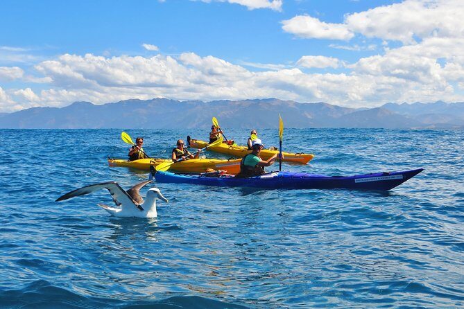 Wildlife Sea Kayaking Tour - Kaikoura - An Overview of the Wildlife Sea Kayaking Experience