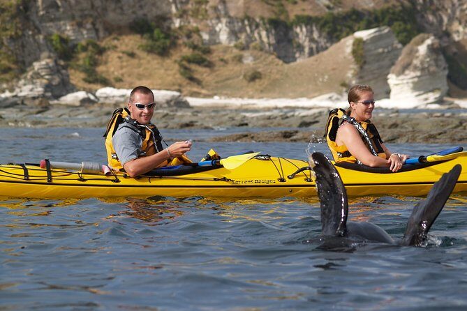Wildlife Sea Kayaking Tour - Kaikoura - Who Will Love This Tour?