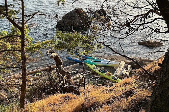 Wildlife Spotting Kayak Adventure on Orcas Island - Who Would Love This Experience?