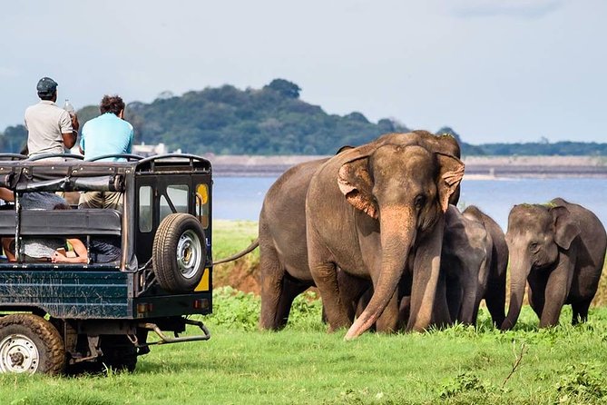 Wildlife Sri Lanka Tour 10 Days - Itinerary Breakdown