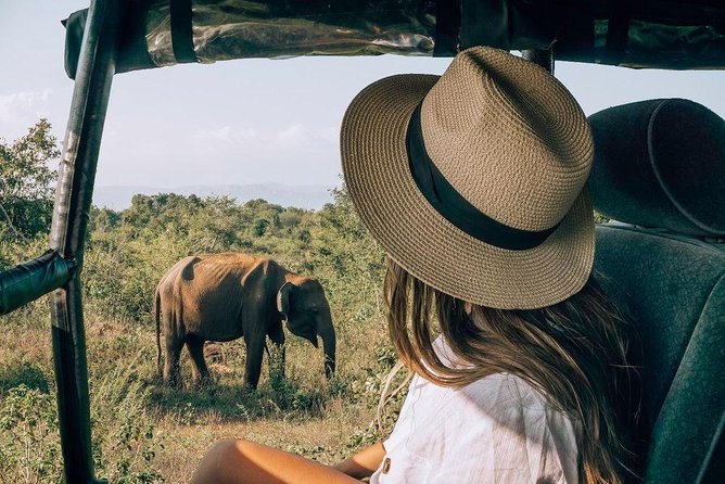 Wildlife Sri Lanka Tour 10 Days - What Makes This Tour Stand Out