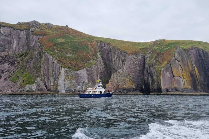 Wildlife Tour - Tour Overview