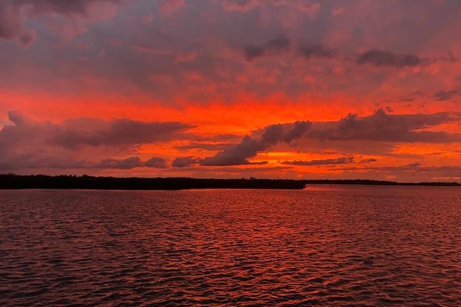 Wildlife Tour of Indian River Lagoon with Experienced Captain - The Itinerary and Highlights