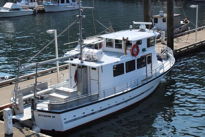 Wildlife Viewing and Whale Watching Quest - Real Traveler Perspectives