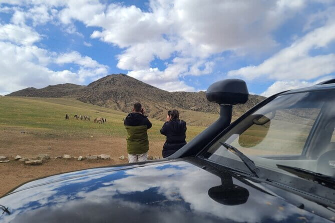 Wildlife Watching Day Tour at Hustai National Park - What to Expect: A Detailed Breakdown of the Itinerary