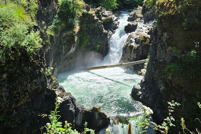 Wildlife, Waterfalls, Caves, Old Growth on Vancouver Island - An In-Depth Look at the Vancouver Island Adventure