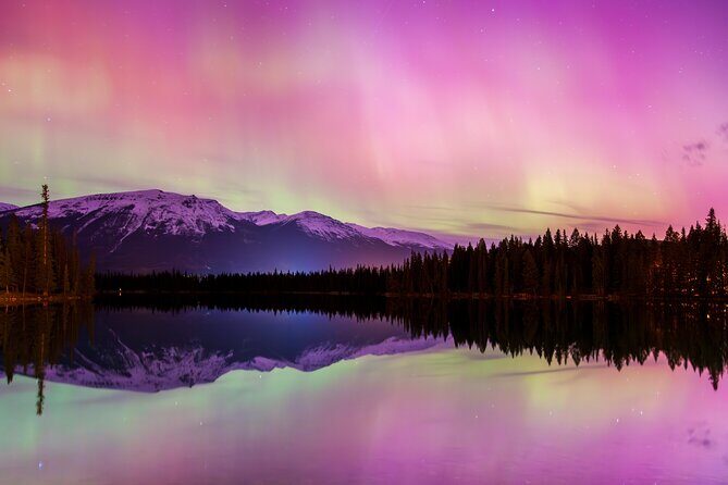 Wildlife Wild Skies: Jasper Planetarium Combo - A Detailed Look at the Tour
