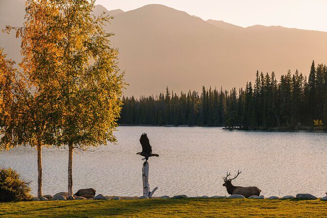 Wildlife Wild Skies: Jasper Planetarium Combo - Final Thoughts: Is This Tour for You?