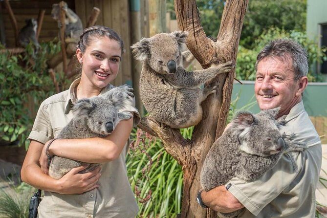 Wildlife, Wine & Waves  Epic South Coast Adventure from Sydney - An In-Depth Look at the South Coast Tour