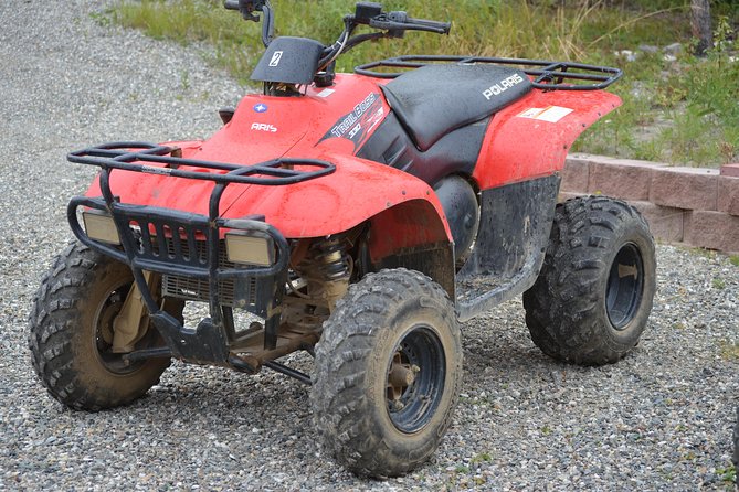 Wilds of Alaska Classic ATV Adventure - Wildlife and Scenic Views