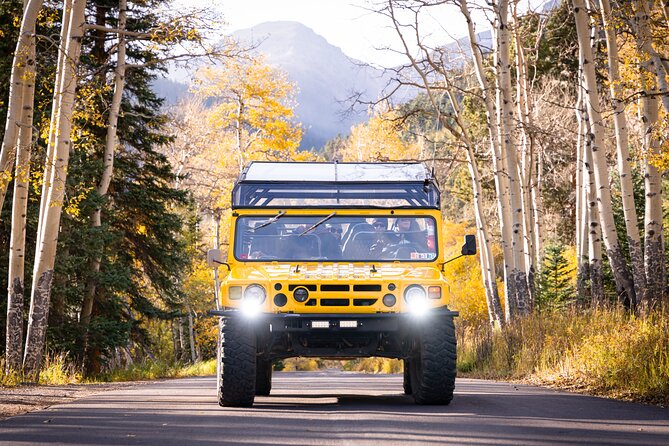 Wildside 4X4s Winter Wonderland Sledding Tour - Key Points