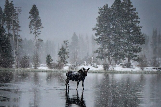 Wildside 4X4s Winter Wonderland Sledding Tour - Inclusions and Amenities