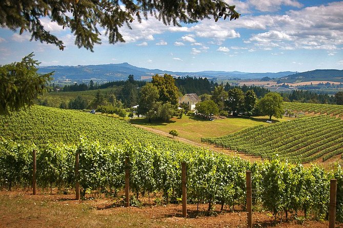 Willamette Valley Wine Tasting Tour From Portland - Key Points