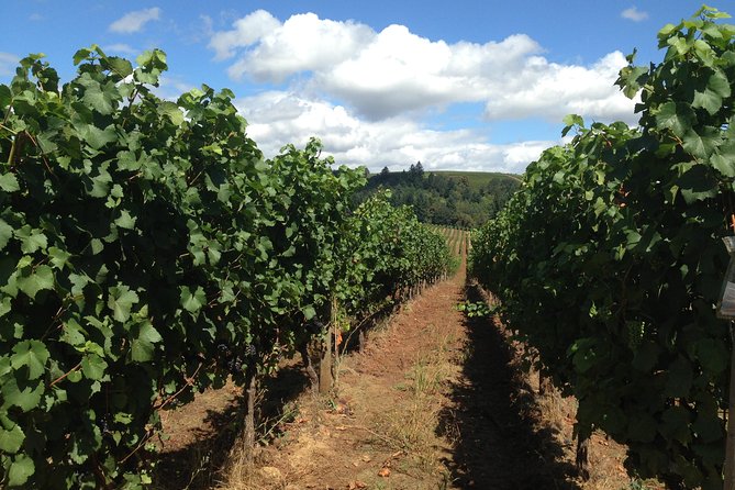 Willamette Valley Wine Tasting Tour From Portland - Booking Information and Pricing