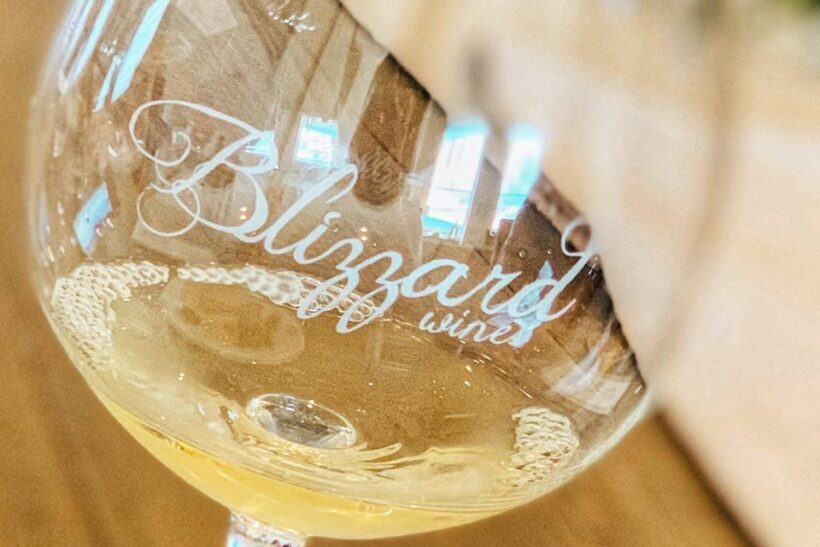 Willamette Valley Wine Tour - The Sum Up