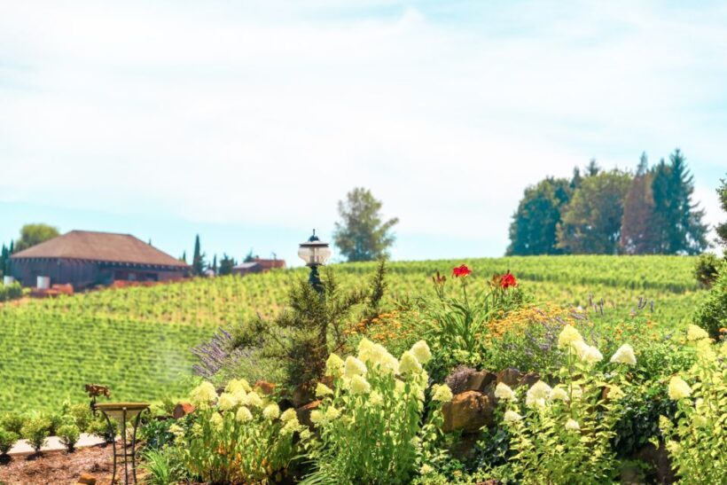 Willamette Valley Wine Tour - Final Words