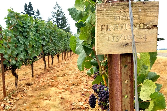 Willamette Valley Wine Tour - Full Day Tour - What the Reviews Say