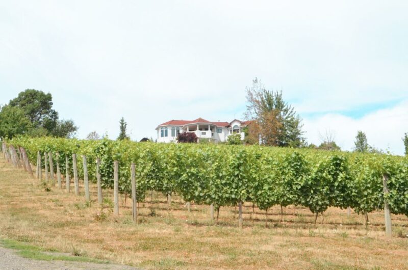 Willamette Valley Wine Tour - What the Reviews Say