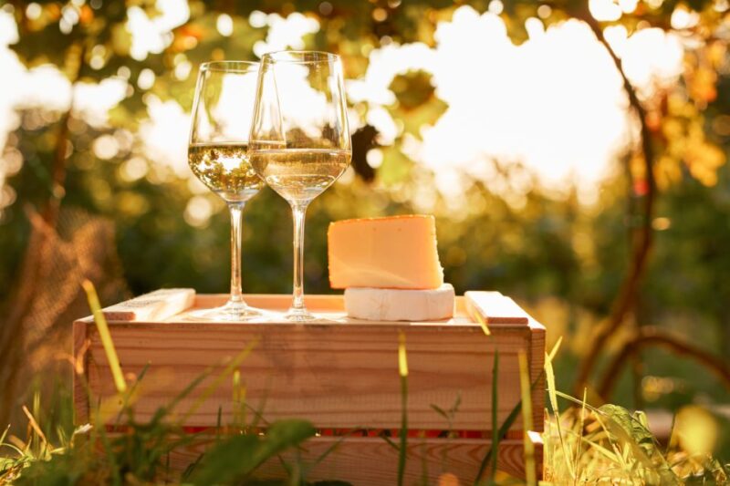 Willamette Valley Wine Tour - Final Thoughts