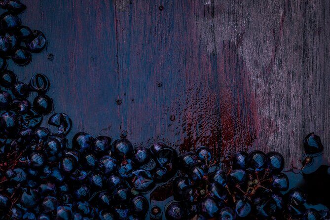 Willamette Wine Tour from Newberg (Tasting Fees Included) - An In-Depth Look at the Experience