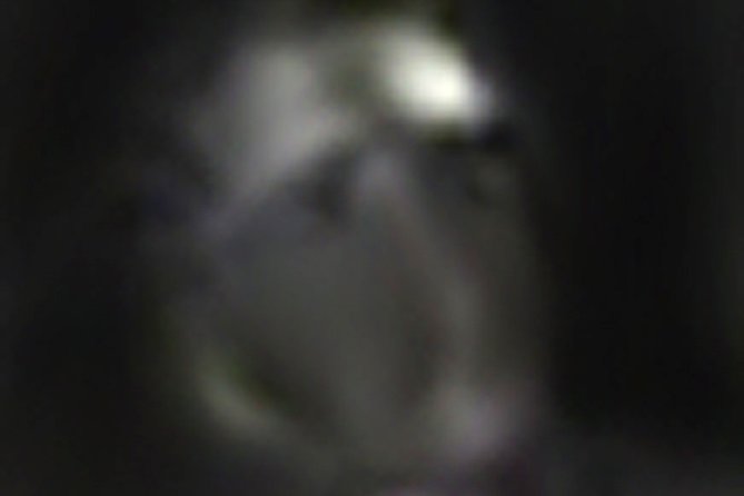 Williamsburg East Ghost Tour - Booking and Cancellation