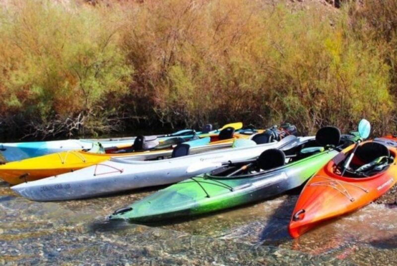 Willow Beach: Black Canyon Kayak Half Day Kayak Rentals - The Genuine Value of the Experience