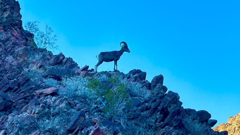 Willow Beach: Half-Day Kayak Rental with Emerald Cave Option - What Travelers Say