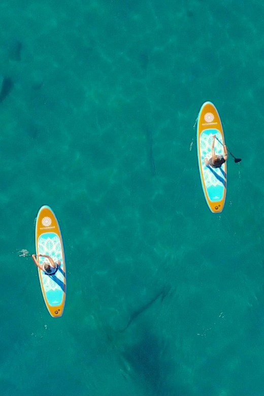 Willow Beach: Paddle Board Rental - FAQ