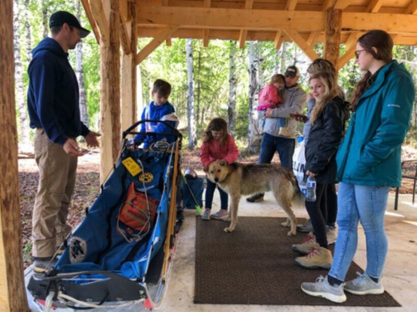 Willow: Summer Dog Sledding Ride in Alaska - Key Points