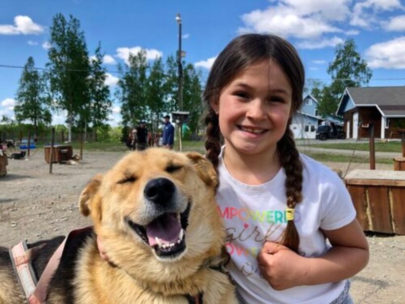 Willow: Summer Dog Sledding Ride in Alaska - The Experience from Visitors’ Perspectives