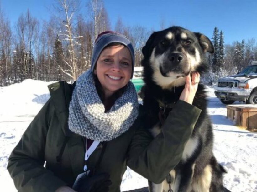 Willow: Traditional Alaskan Dog Sledding Ride - Who Is This Tour Best For?