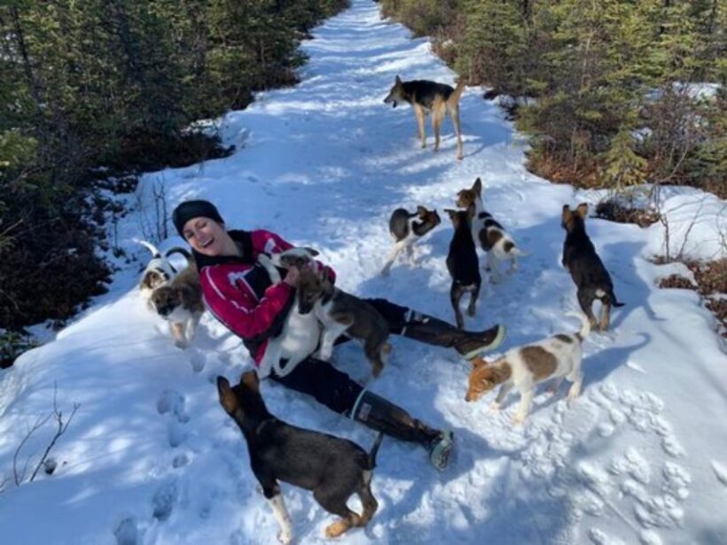Willow: Traditional Alaskan Dog Sledding Ride - FAQ