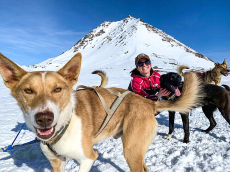 Willow: Traditional Alaskan Dog Sledding Ride - Why This Tour Offers Great Value