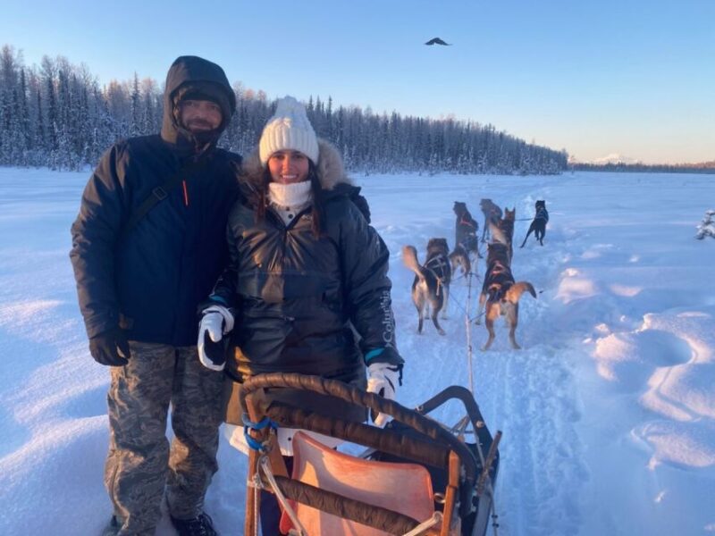 Willow: Traditional Alaskan Dog Sledding Ride - What to Know Before You Go