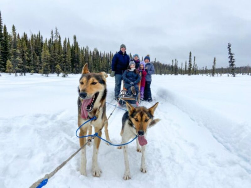 Willow: Traditional Alaskan Dog Sledding Ride - FAQ