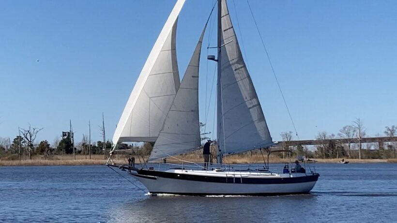 Wilmington: 2-Hour Waterfront Charter - Who Will Love This Tour?