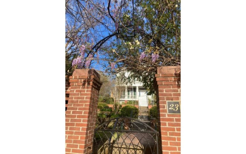 Wilmington History and Architecture Tour - Final Thoughts