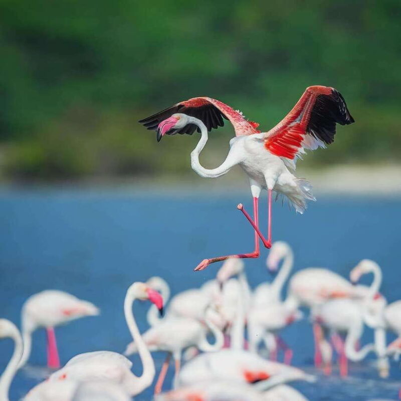 Wilpattu: All Inclusive Private Full-Day Jeep Safari 12h - What Makes This Tour Stand Out