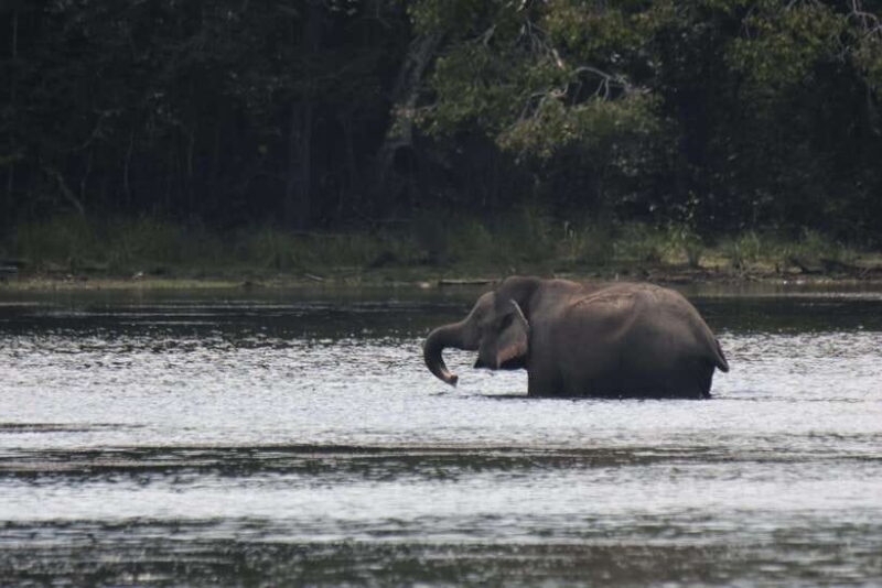 Wilpattu National Park : 5 Hours & 12 Hours Day Tours - Frequently Asked Questions