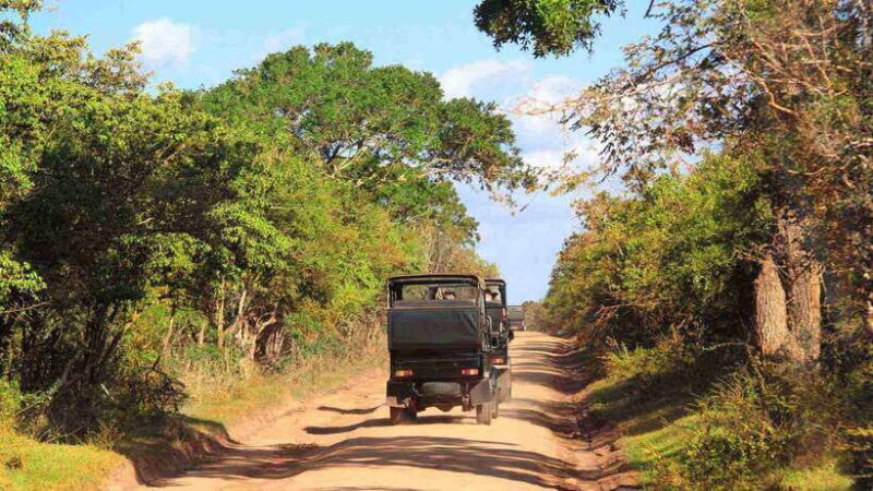 Wilpattu National Park: Full-Day Safari From Trincomalee - The Itinerary in Detail
