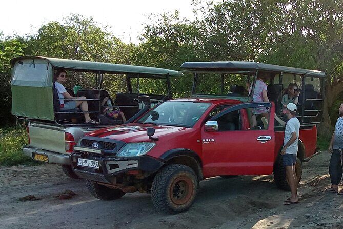 Wilpattu National Park Leopard safari from Colombo/Negambo - The Itinerary: What to Expect from Dawn to Dusk