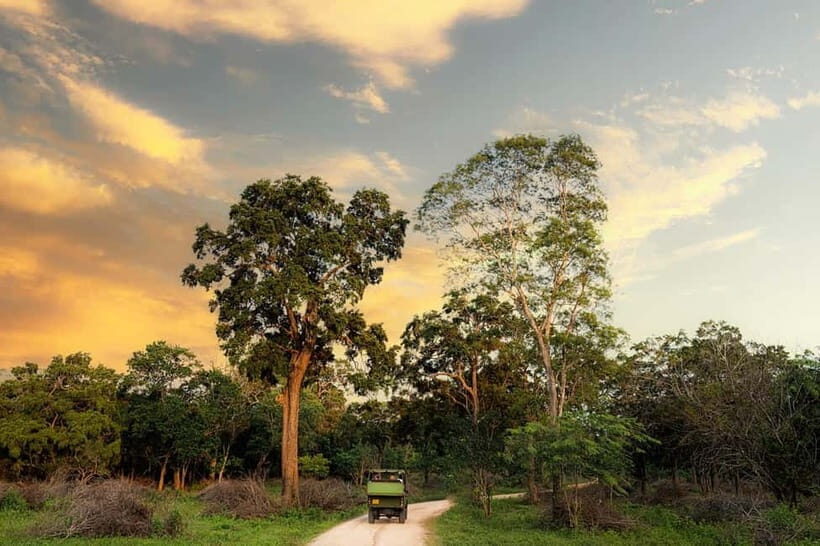 Wilpattu National park: Morning or Afternoon PRIVATE Safari - Key Points