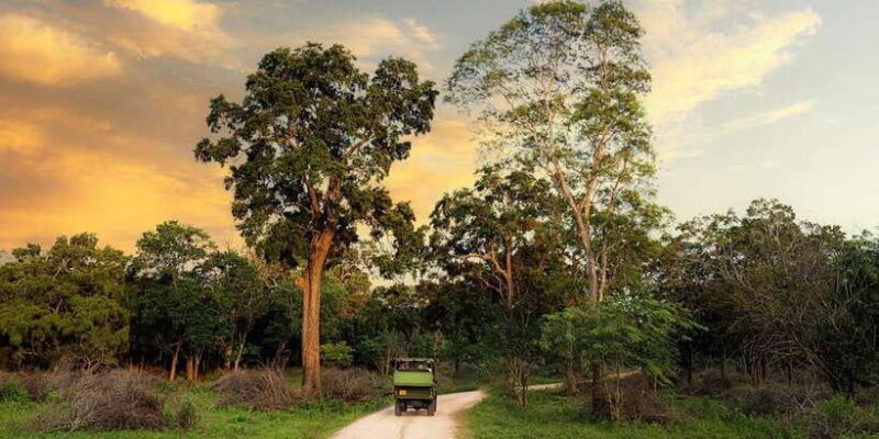 Wilpattu National park: Morning or Afternoon PRIVATE Safari - Practical Details and Tips