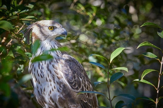 Wilpattu National Park Private Full Day Safari From Negombo - Final Thoughts: Is This the Tour for You?