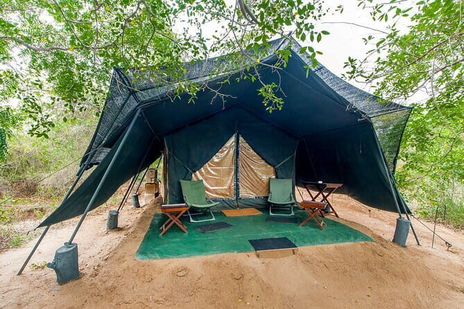 Wilpattu National Park | Private Safari - Who Should Book This Safari?