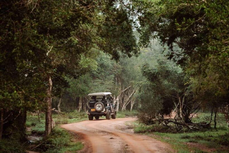 Wilpattu National Park: Private Safari - Who Will Love This Safari?
