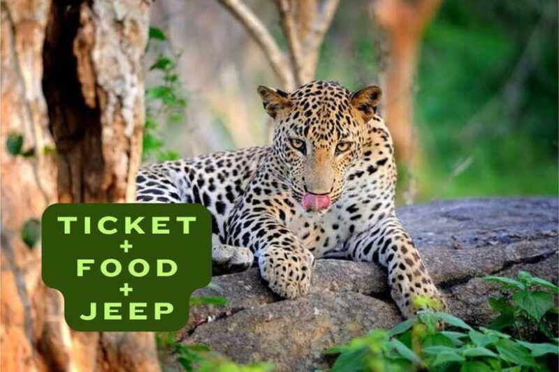 Wilpattu National Park Safari Jeep Tour - Who Would Love This Tour?