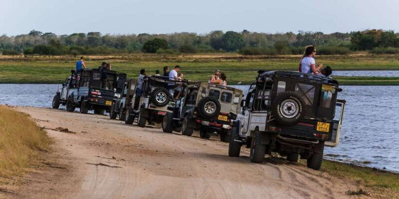 Wilpattu National Park Safari Tour from Colombo - Practical Tips for Making the Most