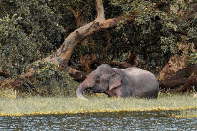 Wilpattu National Park Safari with Naturalist - The Value of the Experience